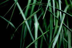 Julia Potocka | LensCulture