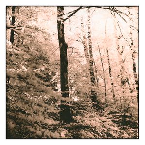 Michael Mavridis - A Breath of Nature | LensCulture