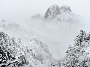 yan sun | LensCulture