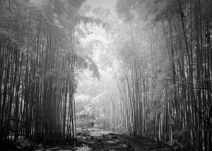 Rachel Blaser | LensCulture