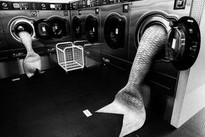 SNAP! BITE! - LensCulture