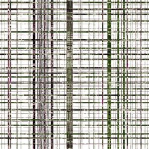 Kalee Appleton - A Series of Systems | LensCulture