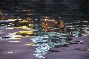 Natalie Goldsmith - Water | LensCulture