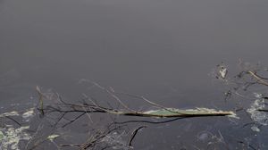 Eva Garay | LensCulture