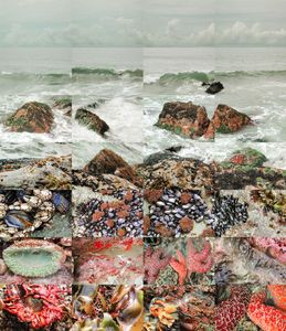 Matthew Chase-Daniel | LensCulture