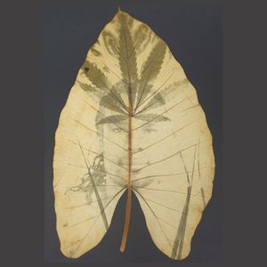 Dóra Papp | LensCulture