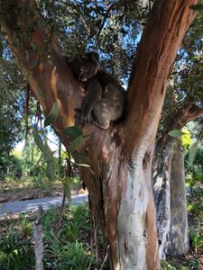 Grace Sodeman | LensCulture