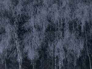 Michael Lange | LensCulture
