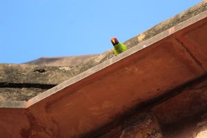 Suma Balaram | LensCulture