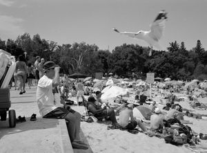 Robert Tinker - A Day at the Beach | LensCulture