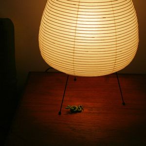 Doris Mitsch - Domestic Animals | LensCulture