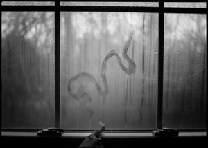 Seth Adam Cook | LensCulture