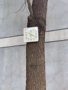 Junwei Chen | LensCulture