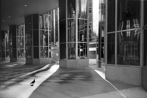 Rick Weber | LensCulture