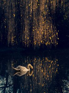 Jason Nielsen | LensCulture