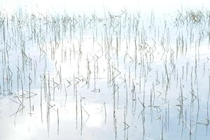 Stuart Bass | LensCulture