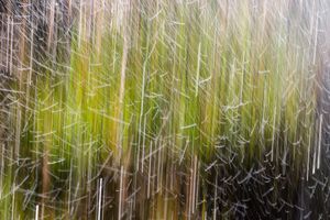 Natalie Goldsmith - Water | LensCulture