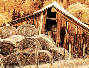 Ivan Koota - The Upper Catskill's of New York State | LensCulture