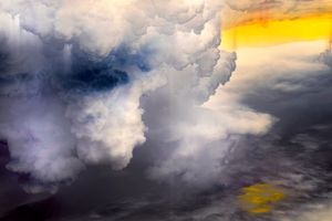 Michael Cardinale | LensCulture