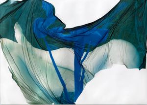 Erin Bird - waterprints | LensCulture