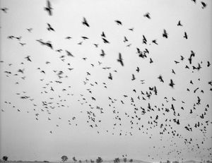 Jonathan Hart | LensCulture