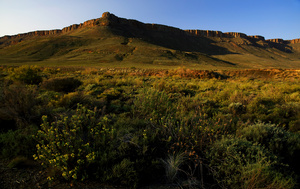 Giampiero Torello - Great Karoo | LensCulture