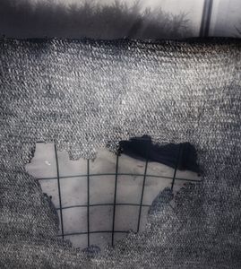 denise perry | LensCulture