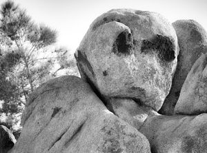 Bob Parker PhD | LensCulture