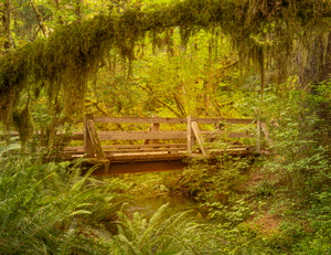 Lynn Beeler - Submission | LensCulture