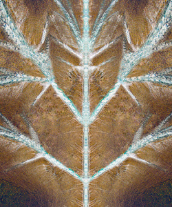 Ben Houston - Ben Houston - Lift Off - HeadOn2016 | LensCulture