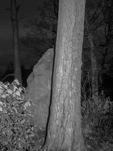 Simon Overton | LensCulture