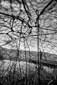 Solitary Road - LensCulture