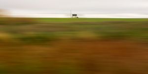 Larry Chait | LensCulture