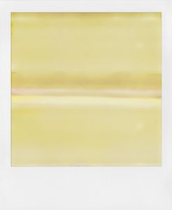William Miller - Ruined Polaroids | LensCulture
