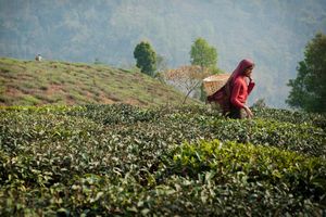 Susan Kessler | LensCulture