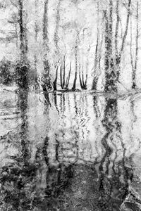 Martin Kull - The End of Winter | LensCulture