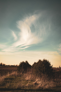 Spencer Cunningham | LensCulture