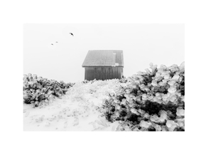 Anna Luscombe | LensCulture