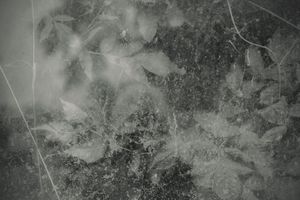 Jenny Rees | LensCulture