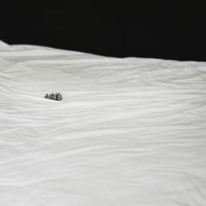 Doris Mitsch - Domestic Animals | LensCulture