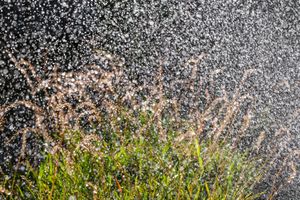 Natalie Goldsmith - Water | LensCulture
