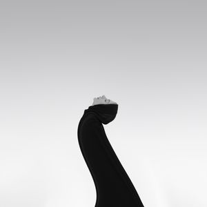 ROHIT RATTAN - SILENCE / SERIES | LensCulture