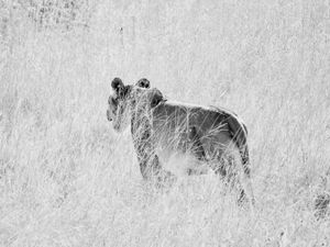 Shanna Caromba | LensCulture