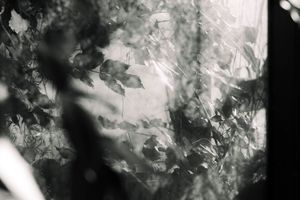 Jenny Rees | LensCulture