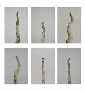 Martin Cregg | LensCulture