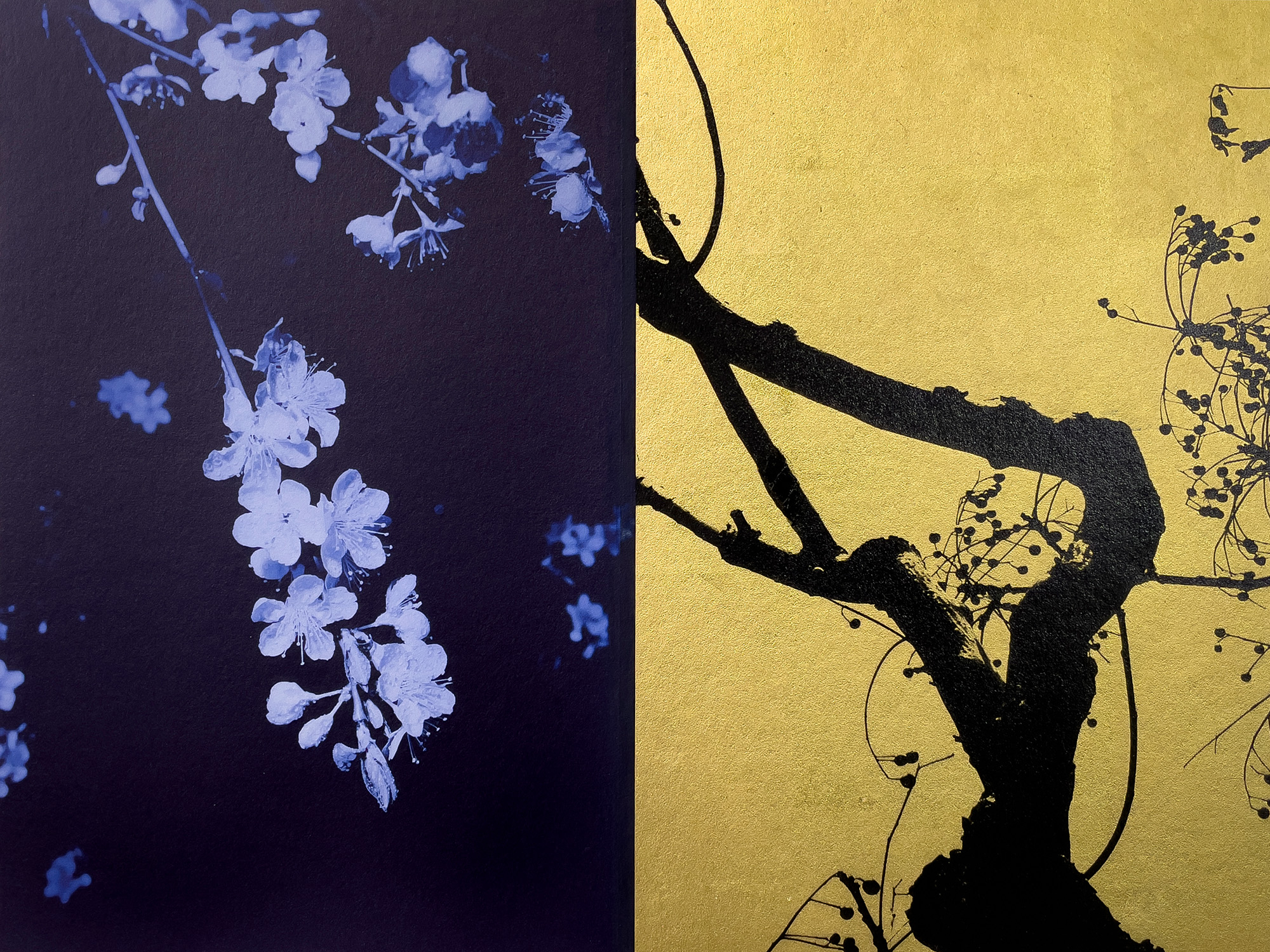 A Symphony of Images - Photographs by Paul Cupido | Essay by Sophie ...