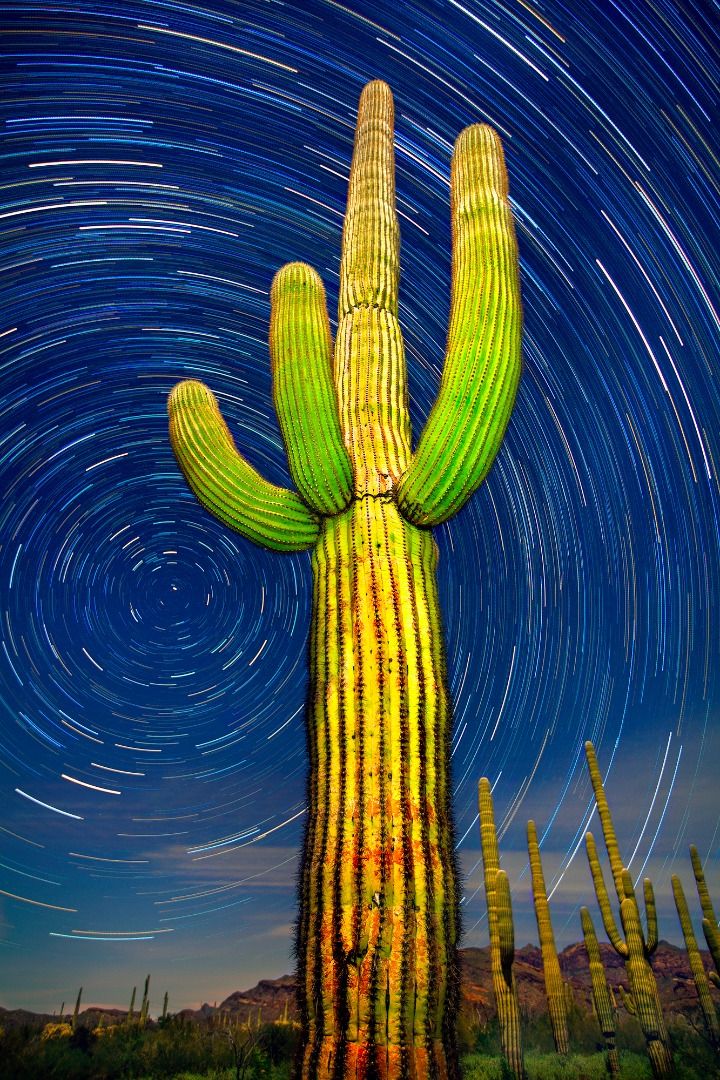 Passionate Living: Photography and the Great Outdoors - Photographs by ...