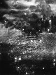 Michael Flomen’s All-Natural Photograms - Photographs by Michael Flomen ...